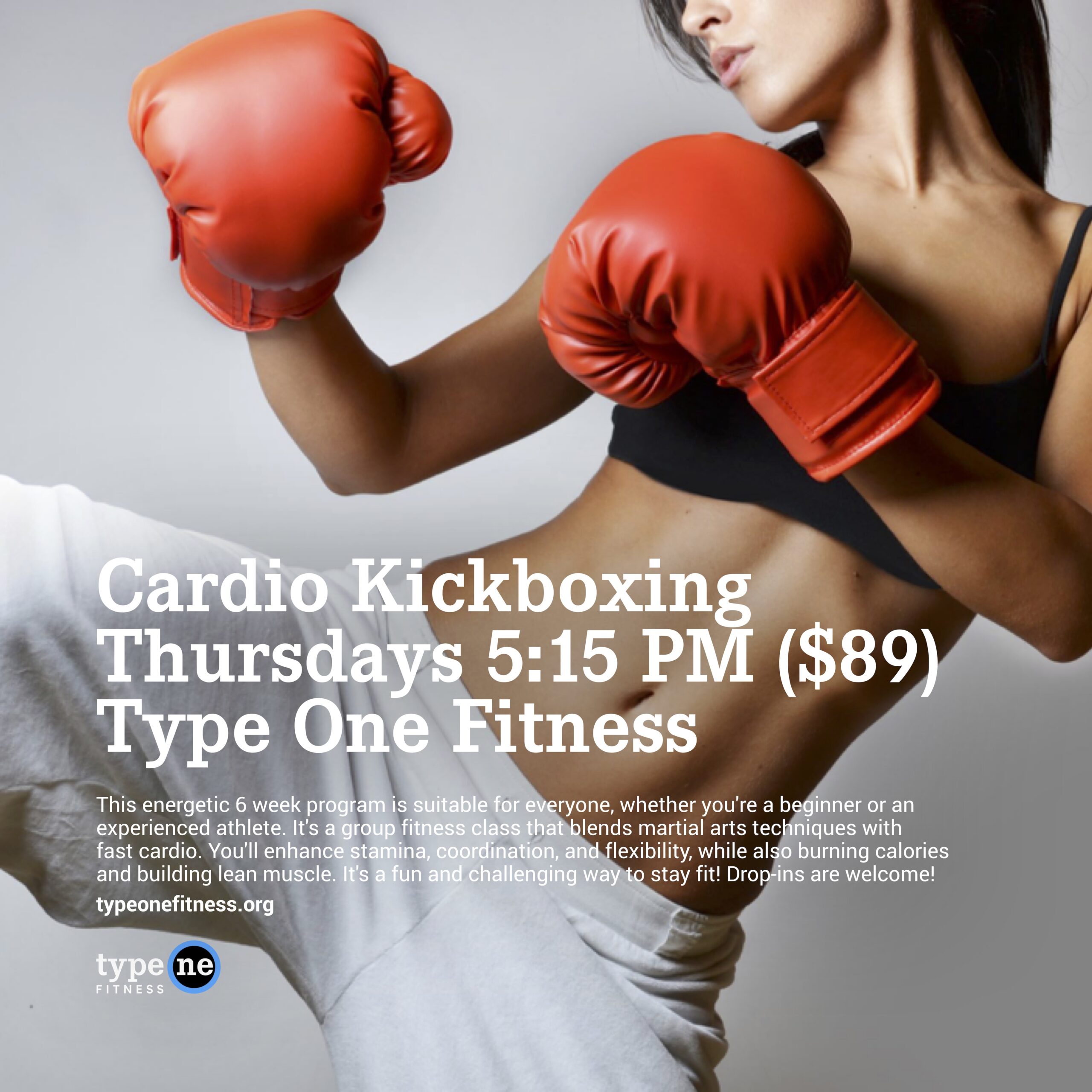 Cardio Kickboxing - Type One Fitness